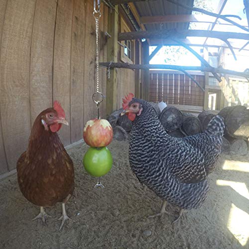 Vehomy Chicken Veggies Skewer Fruit Holder for Hens Pet Chicken Vegetable Hanging Feeder Toy for Hens Large Birds 4PCS