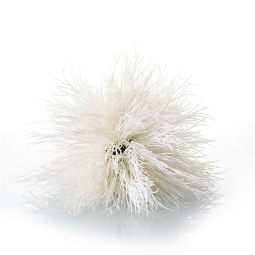 AKVLPGQK 2Pc Decoration Simulation Artificial Plants Ornaments Fish Aquatic Pet Supplies Suitable for Fish Tank Ornament Decoration Landscap Decorative(CP103-2,XS-15X15X9cm)