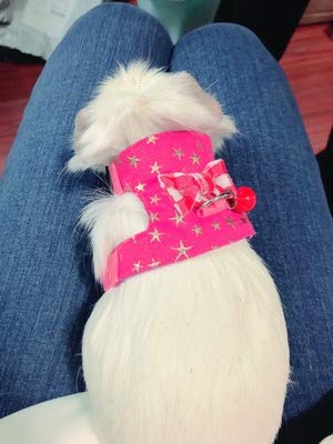 Wontee Small Pet Harness Vest and Leash Set with Bowknot and Bell Decor for Gerbil Guinea Pig Squirrel Kitten Outdoor Walking (S, Pink Star)