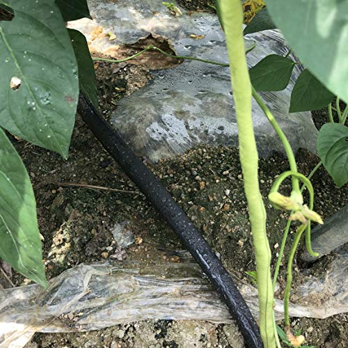 GREEN MOUNT 04070P Garden Soaker hose 1/2 inch 50 ft Heavy Duty for Flower Beds, Seedling
