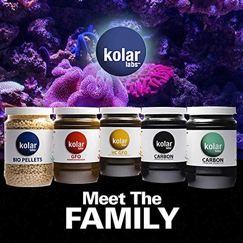 Kolar Labs β Premium Catalytic Activated Carbon β 454g (1lb), Chlorine, Chloramine and Hydrogen Sulfide Removal for Tap Water, Reverse Osmosis Filtration Systems and Aquariums