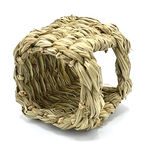 Oxbow Animal Health Timothy Club Hay Square