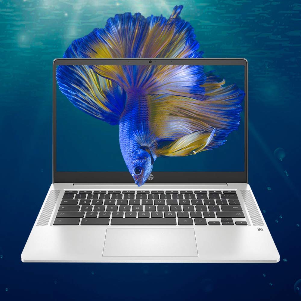 HP 2021 Newest Chromebook 14 Inch FHD 1080P Laptop with Webcam, Intel Celeron N4000 up to 2.6 GHz, 4GB RAM, 64GB eMMC, Webcam, WiFi 5, Chrome OS + NexiGo 128GB MicroSD Card Bundle