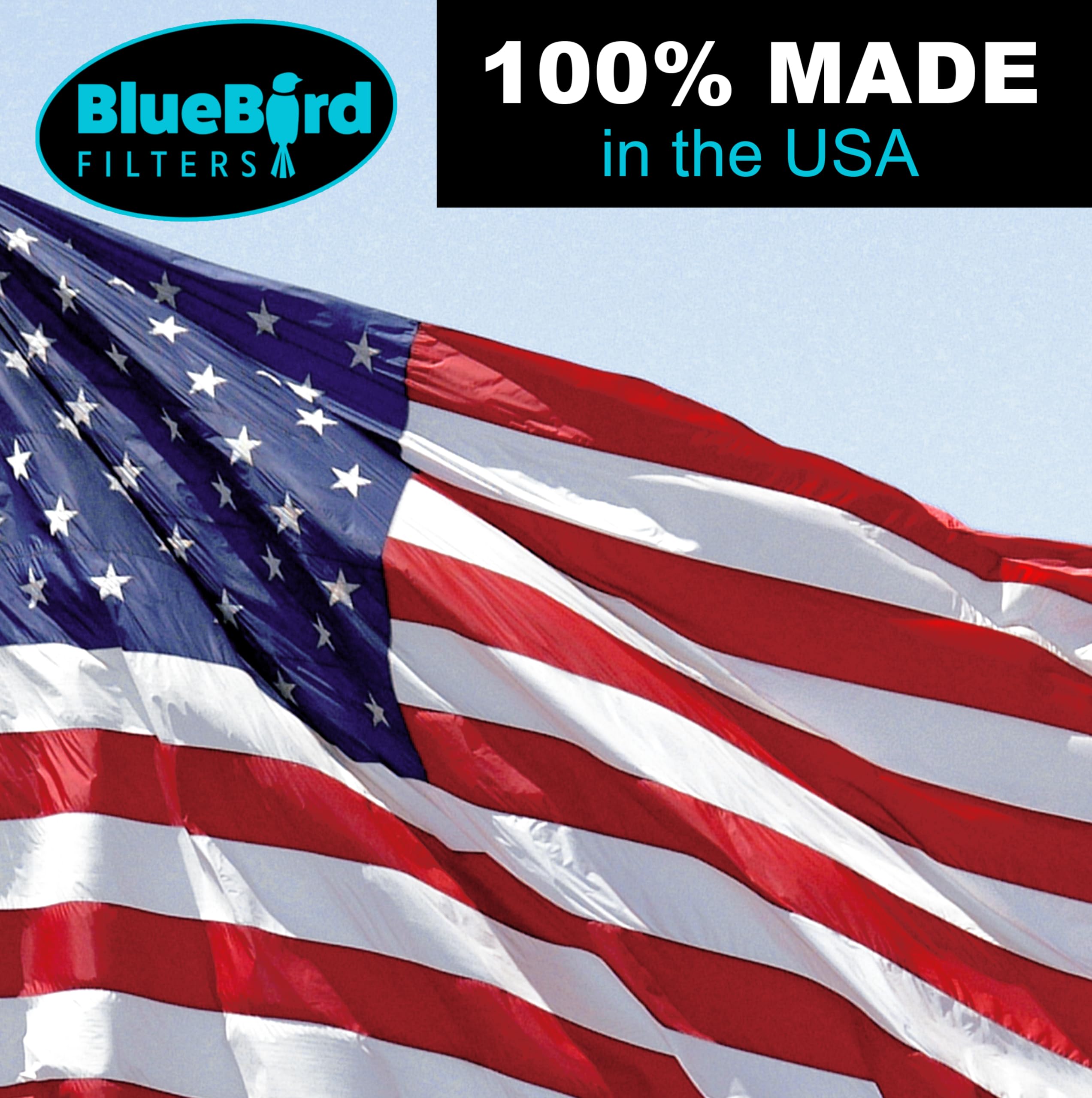 BlueBird Filters Replacement HEPA Filter & Carbon Pre Filter Kit For Honeywell 50250 50250-S OEM Part Number 24000 (1 HEPA & No Pre-Filter)