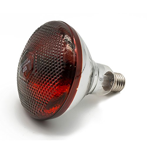 Fengrun Infrared Heat Lamp Waterproof Anti-Explosion Light Bulb for Piglet Chicken Duck Birds(150w,120v)