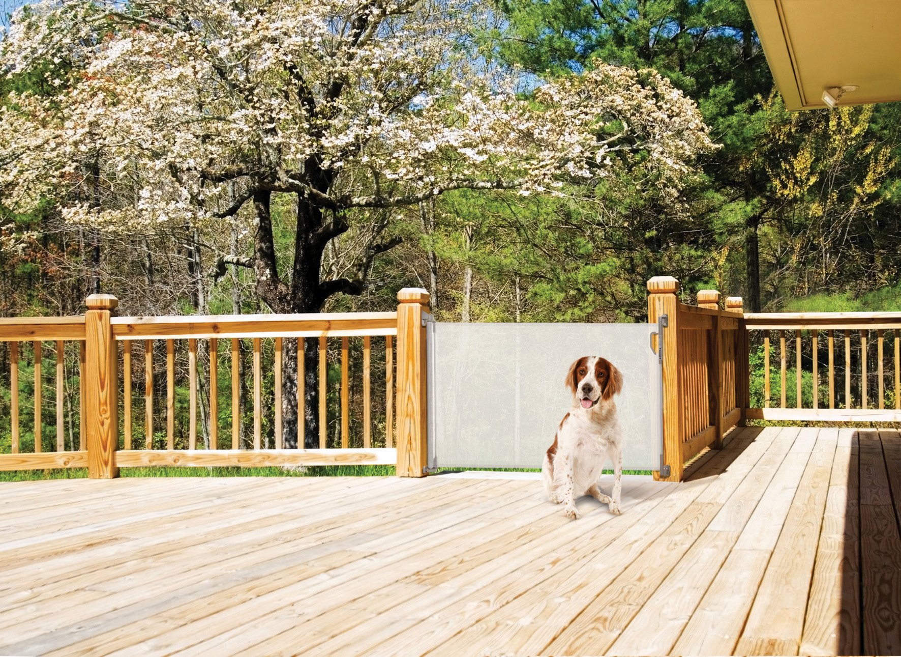 Dreambaby Retractable Gate