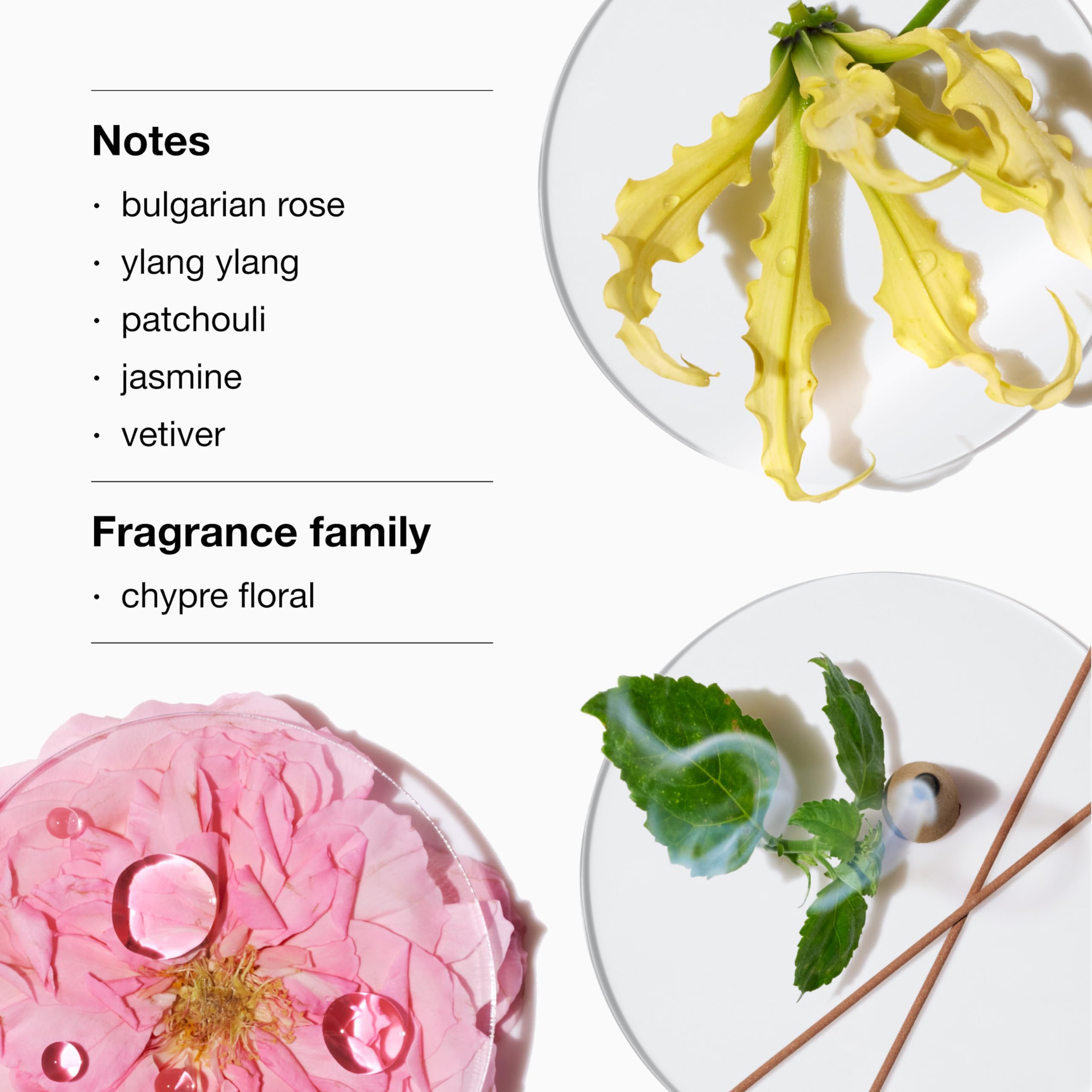 Clinique Aromatics Elixir Eau de Parfum Spray | Notes of Bulgarian Rose, Ylang Ylang, Patchouli, Jasmine + Vetiver, 1.5 Fl Oz