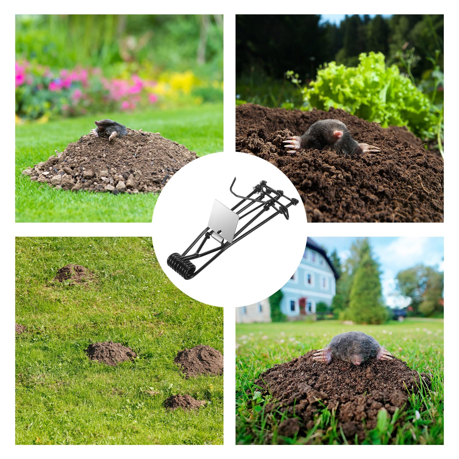 8 Pack Mole Traps for Lawns Reusable Mole Trap Gopher Killer Metal Tactical Easy Set Gopher Trap Vole Traps Outdoor Mole Killer for Lawn Yard Garden (Black)