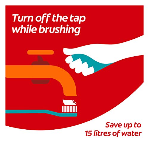 Colgate Zig Zag Medium Toothbrush