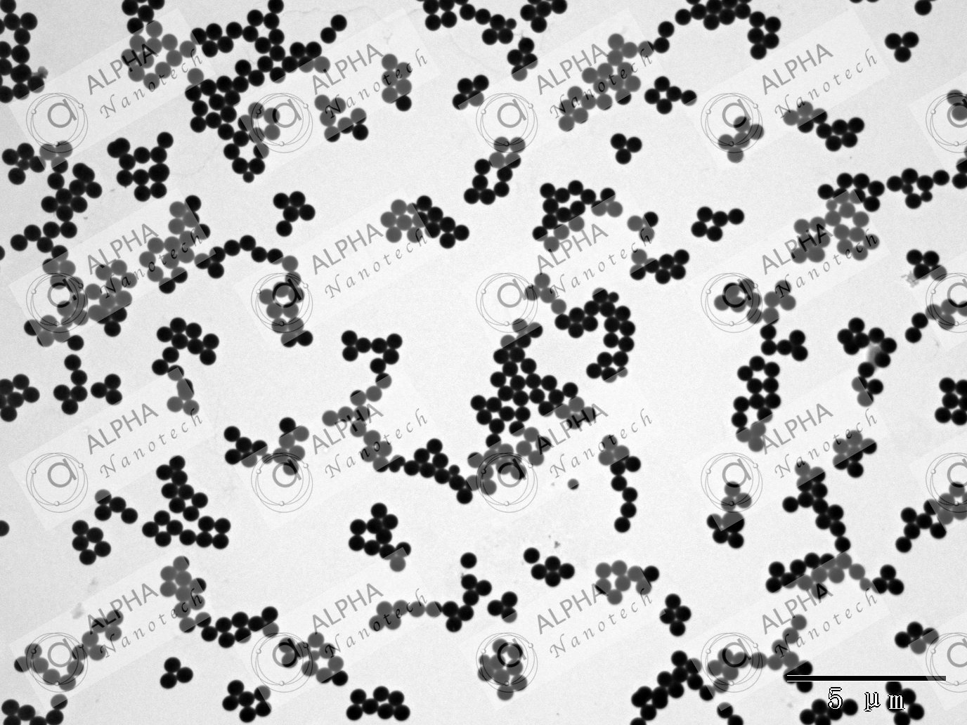 Colloidal Silica Nanoparticles (CV < 3%, 10 mg/ml, 50 nm, 10 ml)