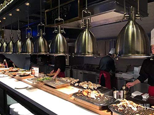 Commercial Food Warmer Stainless Steel Buffet Heat Lamp, Cafeteria Heating Lights Height Adjustable, 360mm