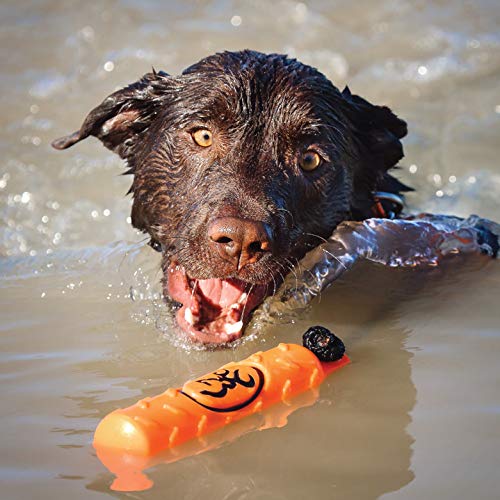 Browning Vinyl Training Dummy Hunting Dog Training Dummy, Vinyl, Orange, Large (Pack of 1)