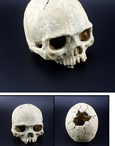 Hewnda Aquarium Decor Resin Artificial Head Skeleton Decoration - Aquarium Otaru Aquarium Decorative Cave Landscape Pet Reptile House