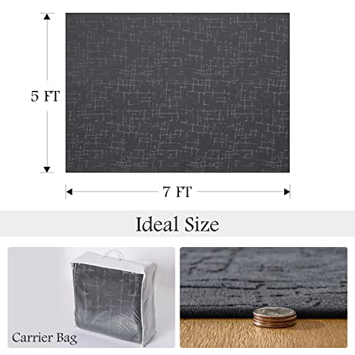 Area Rug-5x7 Rug for Living Room Contemporary Durable Carpet-Washable Rug Suitable for Living Room Bedroom Dinning Room Laundry Room Study Room