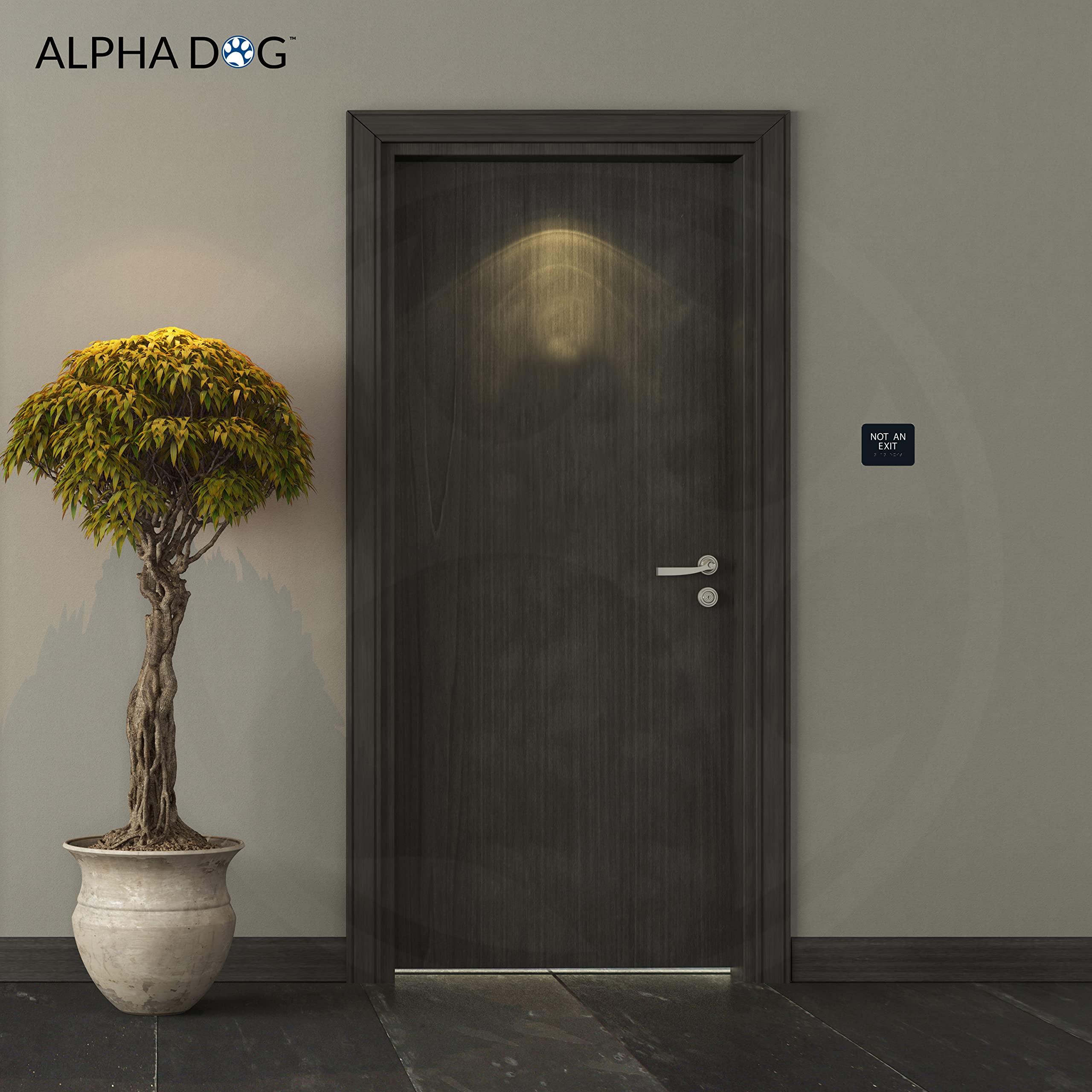 ALPHA DOG ADA SIGNS - Not An Exit Sign with Braille for Your Business, 4x5 Inch, ADA Compliant, Indoor or Outdoor, Easy Installation, Made in the USA, Black