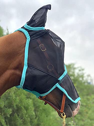 TGW RIDING Horse Mask Full Face Mesh Mask Fine Mesh with Ears and Long Nose (Cob, Black/Turquoise)