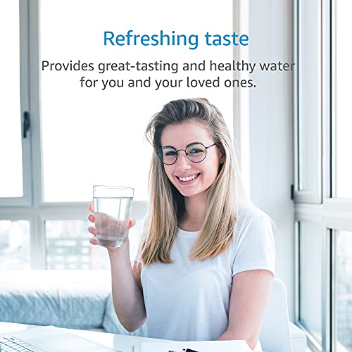 AQUA CREST DW80/90 Under Sink Water Filter, Replacement for Aqua-Pure AP-DW80/90, AP-DWS1000, Kohler K-201-NA, Kohler K-202-NA (Pack of 2), Model No. WF60-80/90