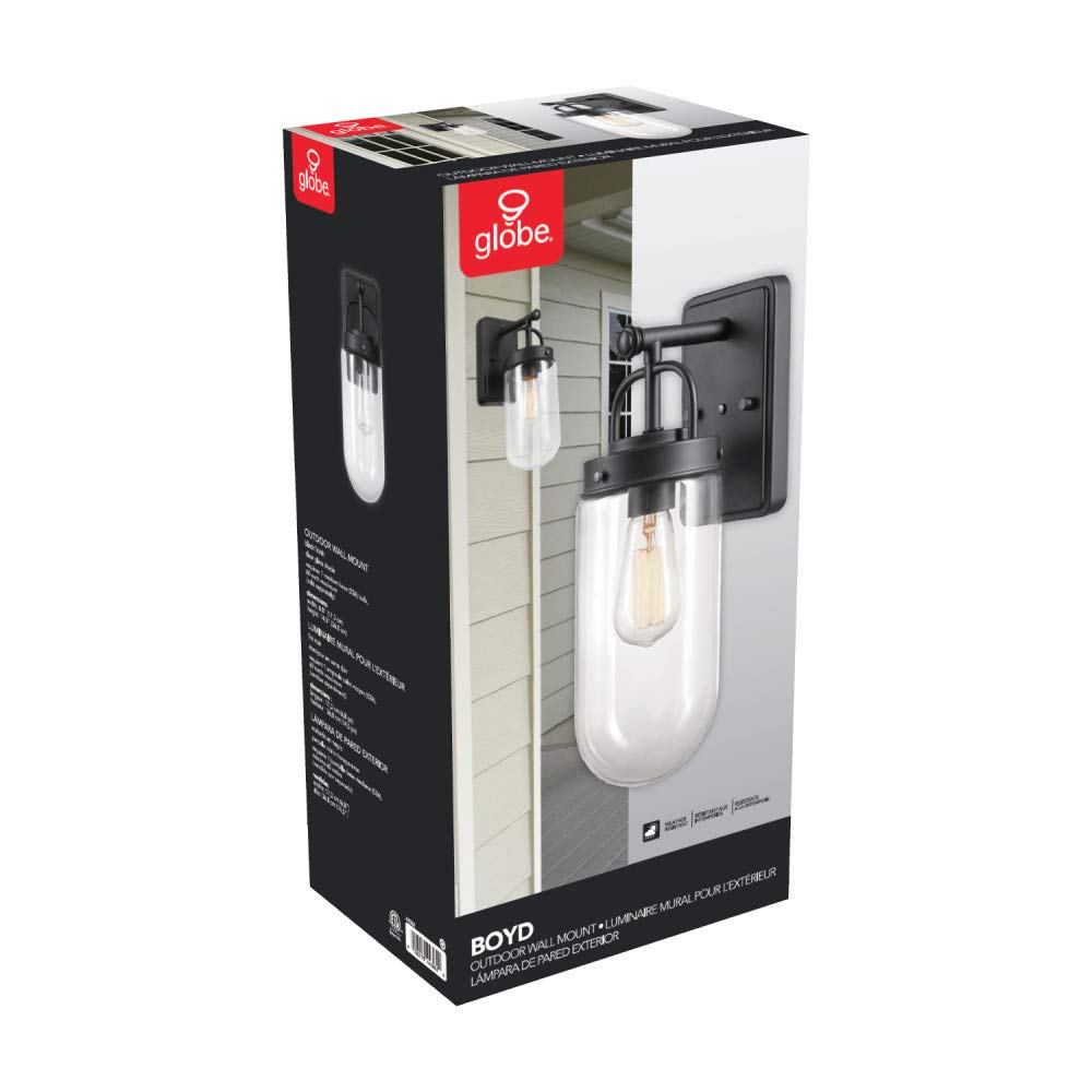 Boyd 1-Light Outdoor Indoor Wall Sconce, Black, Clear Glass Shade,44362