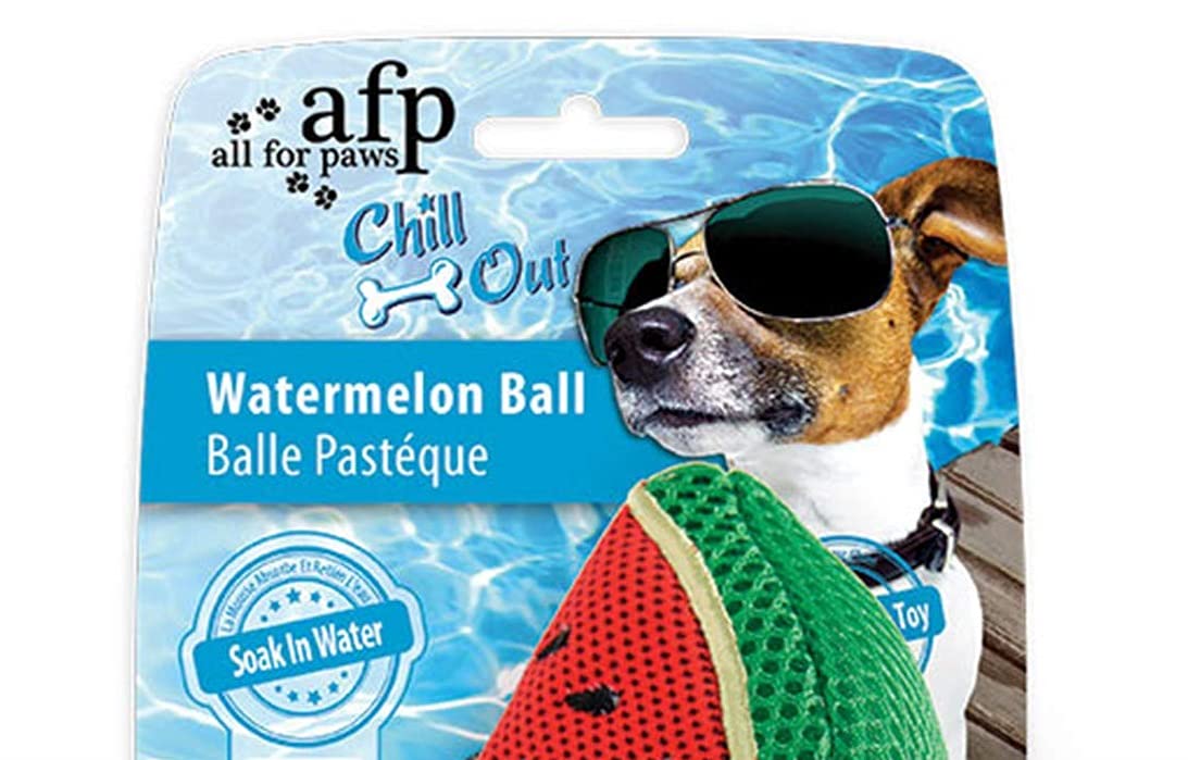 ALL FOR PAWS Chill Out Watermelon Slice Dog Chew Toy, 2.5 kg