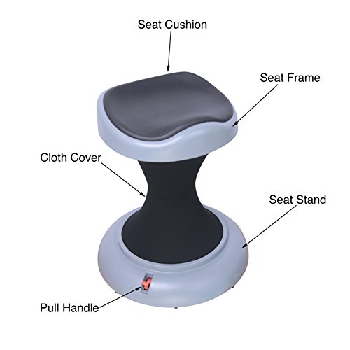 Fotolux EZ Hula Exercise Chair, Black Base