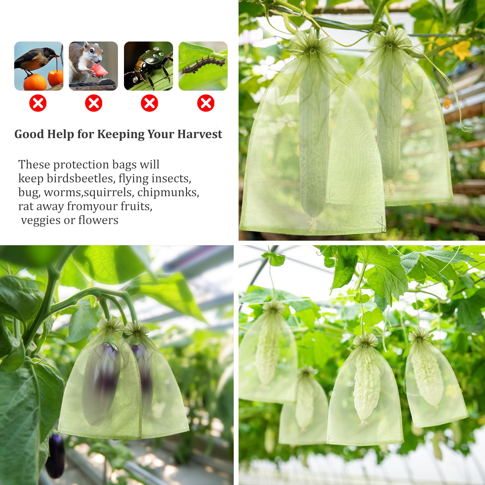 50 PCS 6X9 inches Fruit Protection Bags,Fruit Bags for Fruit Trees,Fruit Bags Protection,Green Netting Fruit Cover Bags Drawstring Mesh Fruit Protectors Pest Barrier for Fruit Trees Veggies Garden