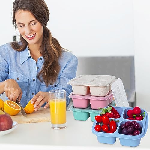 Aimkeoulee 4 Pack Snack Containers with Lids,Reusable 4 Compartments Bento Lunch Box, Divided Meal Prep Lunch Box, Food Storage Containers (Wheat(Blue/Green/Pink/Beige))