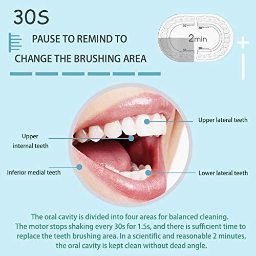Sonic Electric Toothbrush Rechargeable Ideal for Adults Children, 6 Optional Modes IPX7 USB Fast Charging Electric Ultrasonic Toothbrush with 2 min Build in Timer & 4 Replacement Brush Heads(Black)