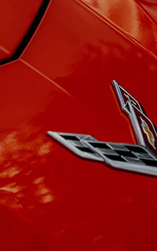 Migliore Forte Coating: 9H High Strength Premium Graphene Coating │5+ Years of Protection │ Apply After Car Wash Clay Bar Buffer Polisher │ Auto Marine Boat Motorcycle