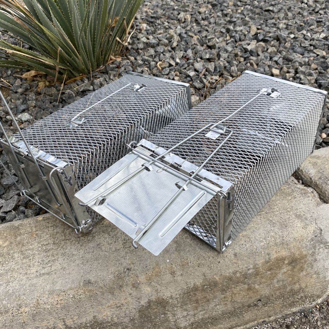AOK Home Mouse Trap Rat Trap Rodent Trap Live Catch Cage Easy to Set Up and Reuse 11x6x4.5 inch