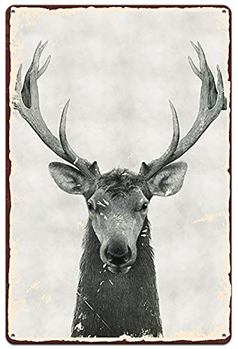 Cafini, Vintage Buck Antler Deer Metal Tin Signs Retro Tin Signs for Home Cafes Bars Pubs Shops Door Wall Decor 8x12 Inch
