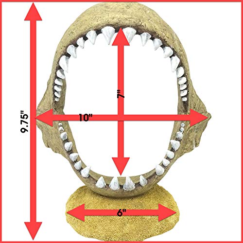 Penn-Plax Deco-Replicas Shark Jaw Aquarium Ornament โ Safe for Freshwater and Saltwater Tank Setups
