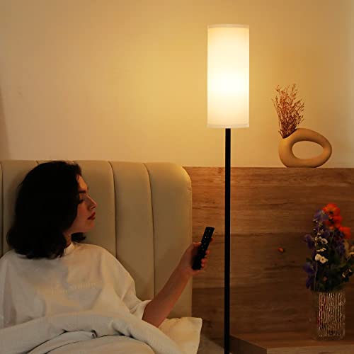 Ambimall Floor Lamps for Living Room, Modern Floor Lamp with Remote Control and Stepless Dimmable Colors Temperature & Brightness (9W Bulb Included, Gray Lampshade)
