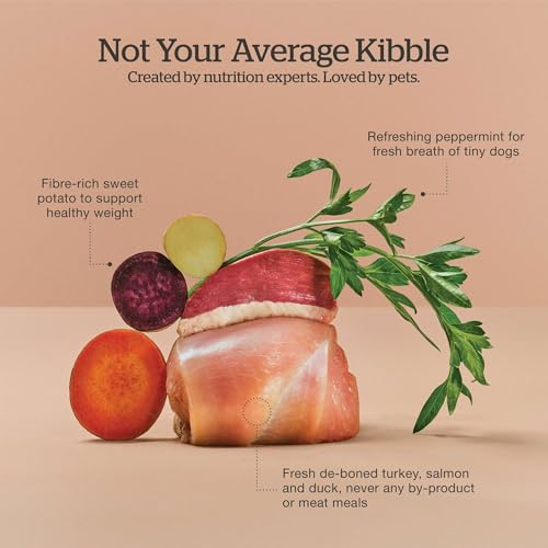 Now Fresh Grain-Free, Dry Dog Food, Small Breed Kibble, Real Meat and Fish, Turkey, Salmon and Duck Senior Recipe, 6 lb Bag
