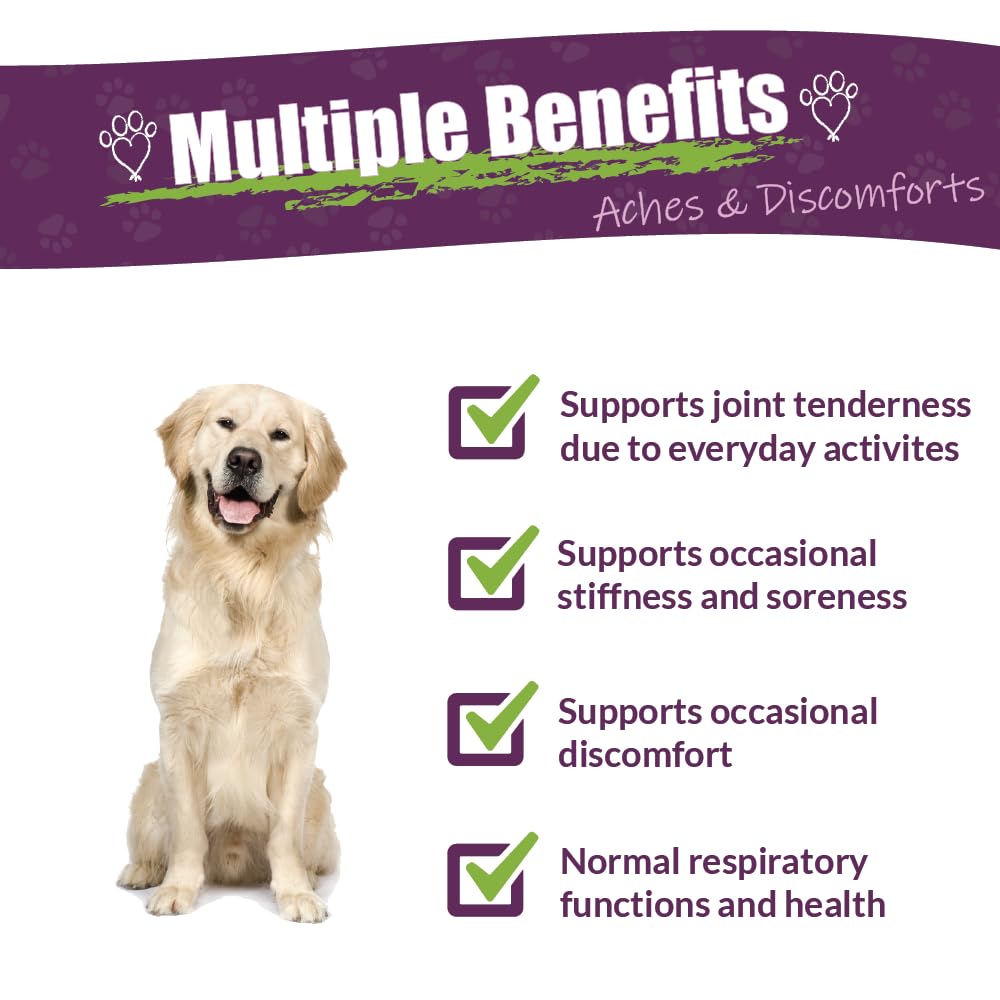 Amber NaturalZ - ADIZONE - Aches & Discomforts - for Dogz - 4 Ounce