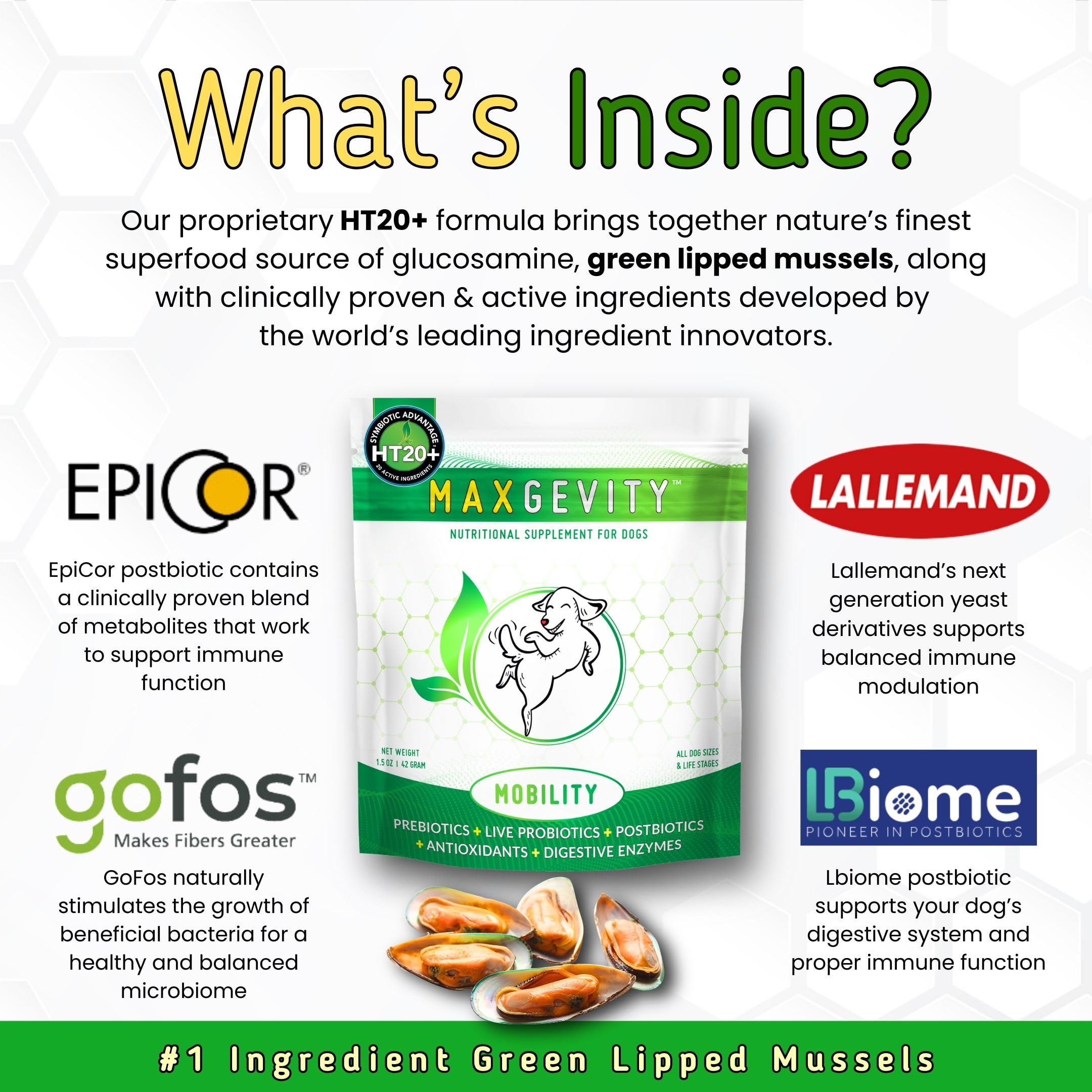 MAXGEVITY Mobility, Hip & Joint Support Meal Topper with Glucosamine & Green Lipped Mussels, Live Probiotics, Pre & Postbiotics, Digestive Enzymes, and Antioxidants | Up to 90-Day Supply