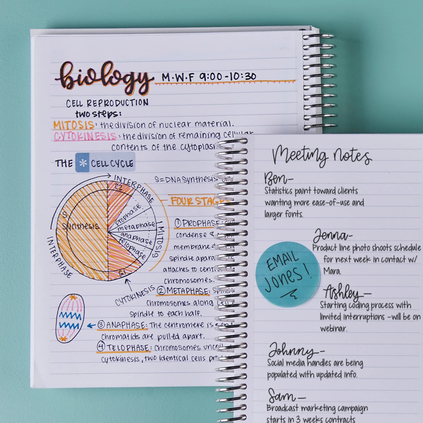 7" x 9" Spiral Bound College Ruled Notebook - Trolls Friendship. 160 Lined Page Note Taking & Writing Notebook. 80Lb Thick Mohawk Paper. Stickers Included by Erin Condren.