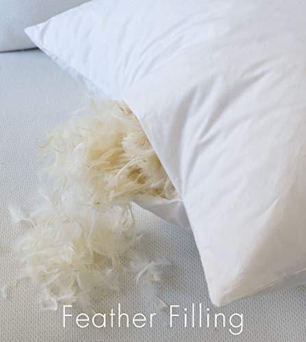 Plankroad Home Décor 15x21 Hypoallergenic Luxury 100% Small Feather Rectangular Pillow Insert, 100% Cambric Cotton Shell, Never Vacuum-Packed, Odorless, Made in USA, Set of 2