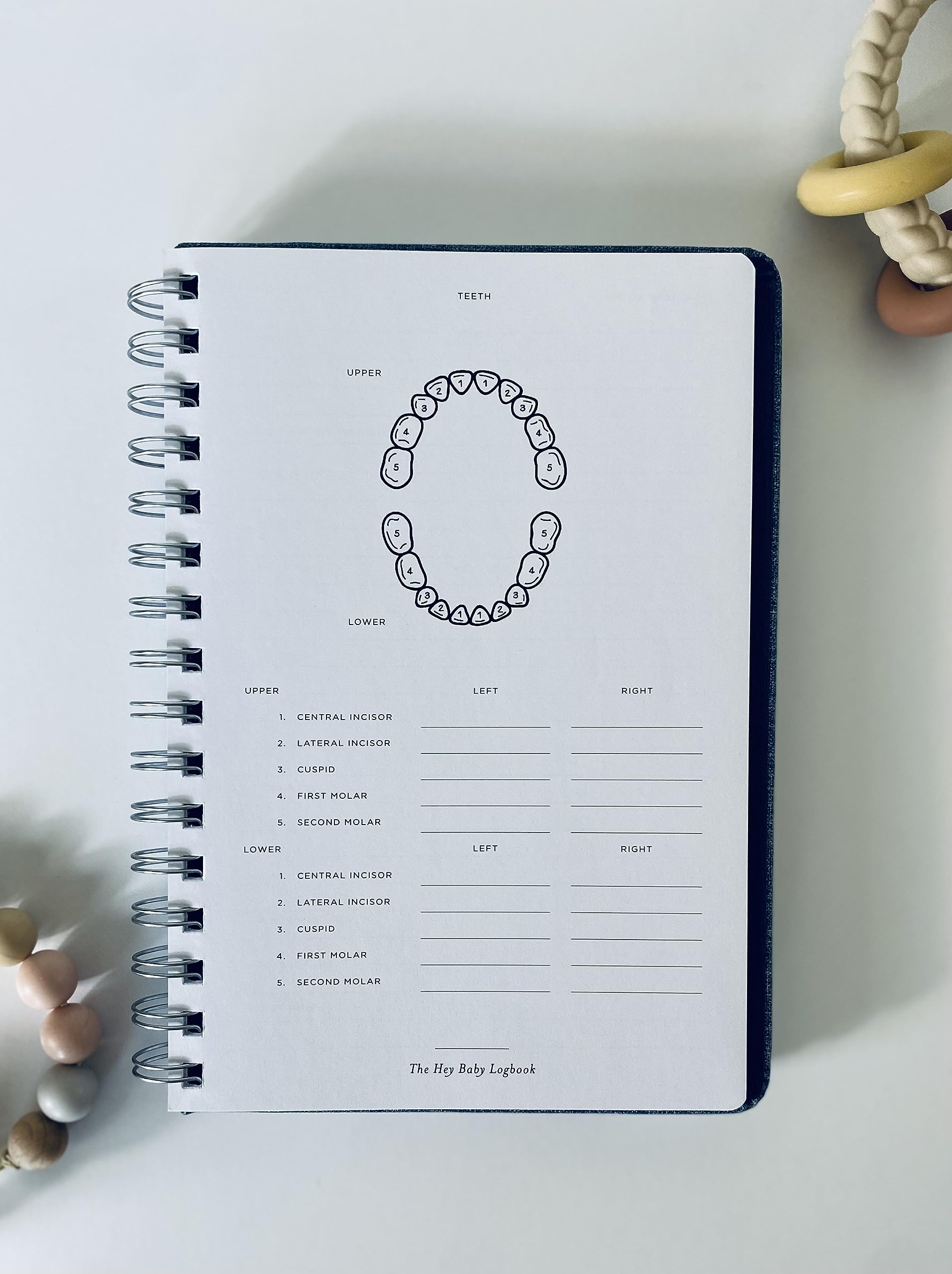 Baby's Daily Logbook, Breastfeeding Journal, Track your Infant’s Feedings, Sleep, and Diaper changes. Plus Bonus Sections including: Growth Charts, Illness Charts, Milestones, Teeth Chart, Doctor appointment notes, and Storage Pocket.