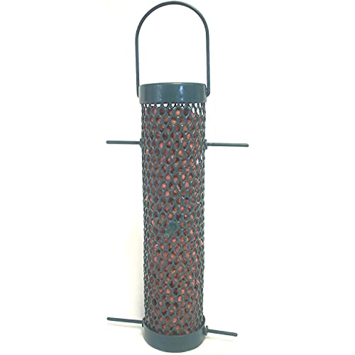 C&S Wild Bird Sunflower Suet Nuggets Mega Box, 8 Pounds