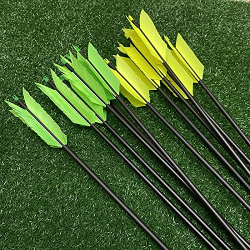 6/12pcs Archery Carbon Arrows 30" Bow Target Hunting Arrow 4 Turkey Feather (Green,12pcs)