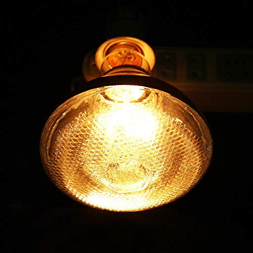 REALM-ARK 1Pc Pig Piglet Thick Heat Lamp Clear Hard Glass Explosion Proof Infrared Heating Lamp Waterproof Explosion-Proof Light Bulb Dot Surface(200W)