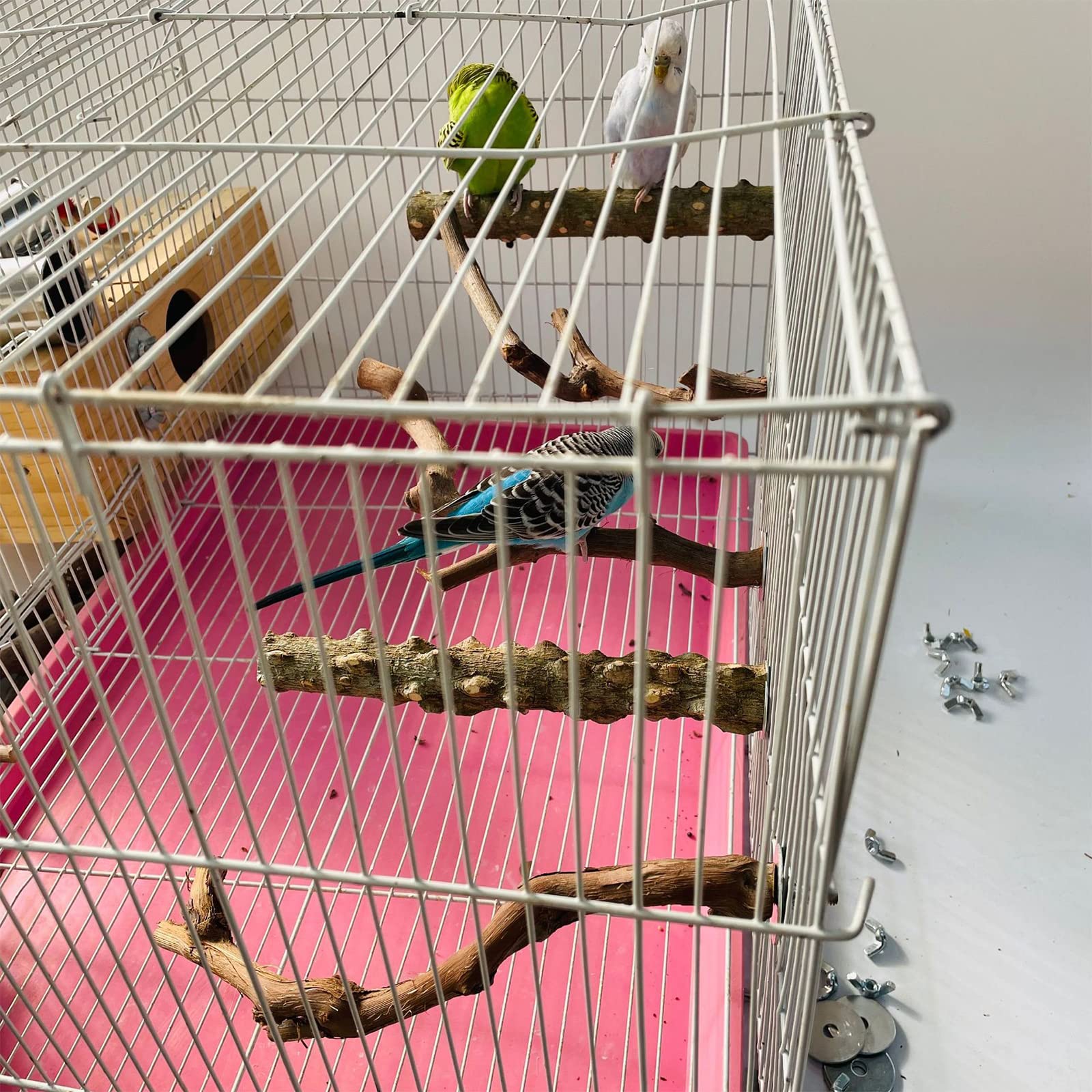 5PCS Bird Perch Stand Natural Wooden Parrot Stand Branch, 3 Grape Wood Perch, 2 Stand, Paw Grinding Fork Parakeet Chewing Stick Exercise Training Branches for Cockatiels, Small Birds