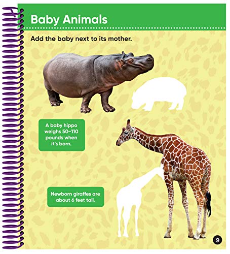 Brain Games - Sticker by Number: Safari Animals (For Kids Ages 3-6): A Kid's Sticker Activity Book With More Than 150 Stickers!