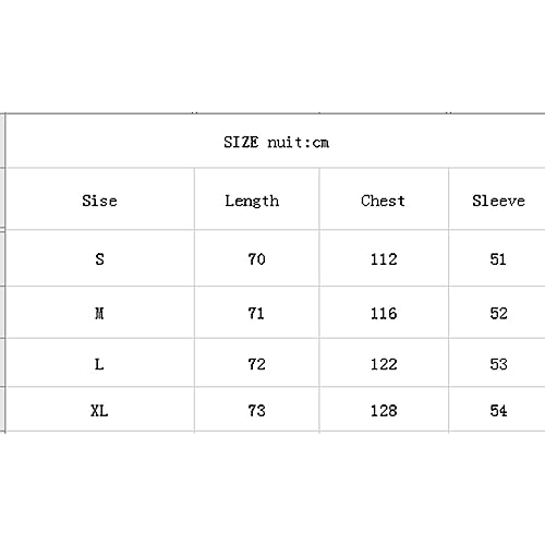 Amiblvowa Y2k Hoodies for Women Man Spider Web Graphic Oversized Hooded Pullover Sweatshirt Sudaderas Gothic Jacket (A Black Pull On, S)