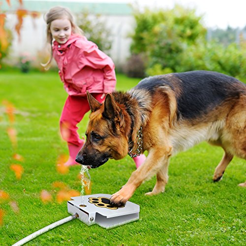 Dog Outdoor Dog Drinking Water Fountain Step On, Easy Paw Activated Drinking Pet Dispenser, Provides Fresh Water, Sturdy, Easy to Use by Trio Gato