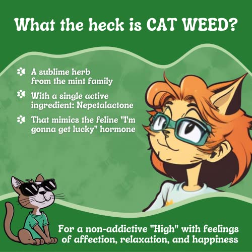 Cat Weed Premium Catnip - All Natural - Maximum Potency Cat Nip - Sprinkle On Your Kittens Favorite Toy Scratch Pad Or Other Refillable Cat Toys - Your Kitty Will Love You