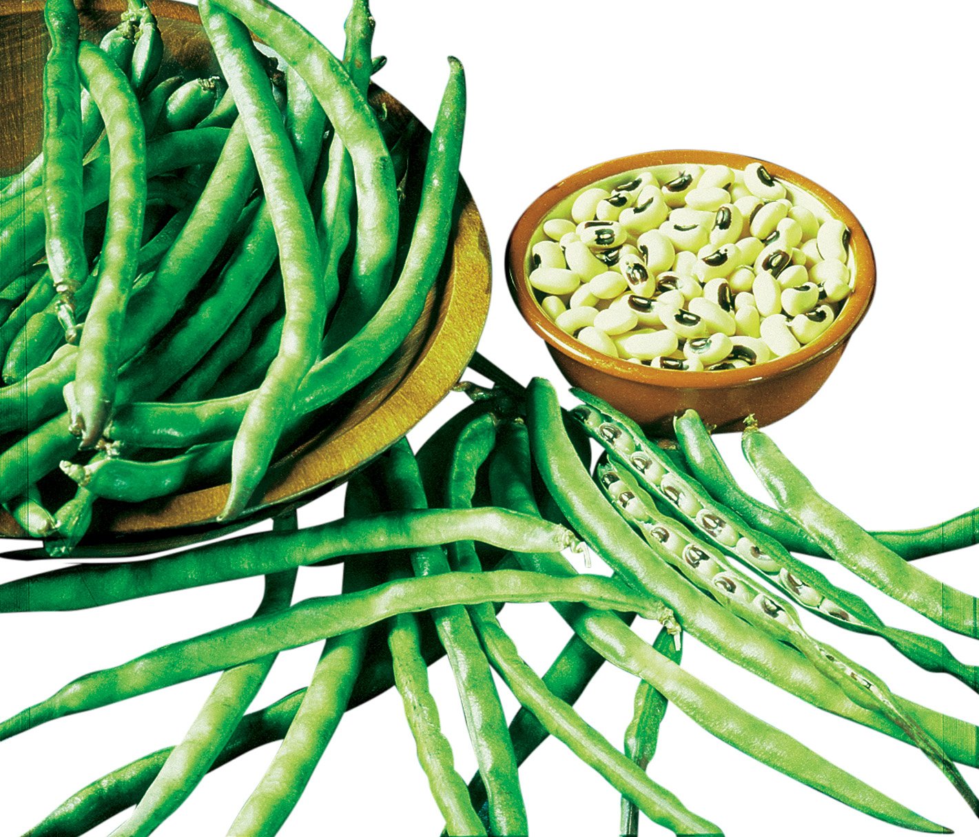 Burpee California Blackeye No.5 Cowpea Seeds 200 seeds