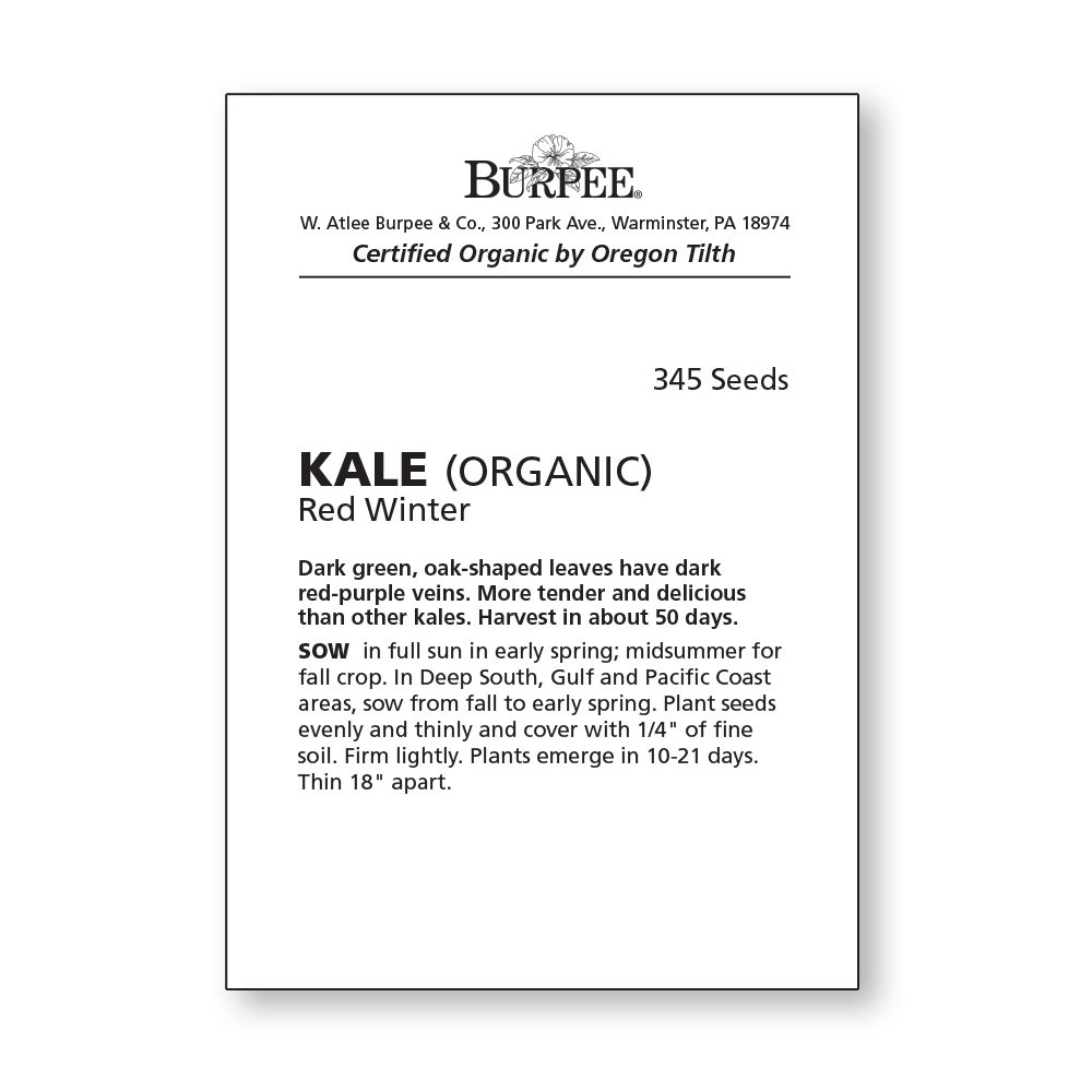 Burpee Red Winter Kale Seeds 345 seeds