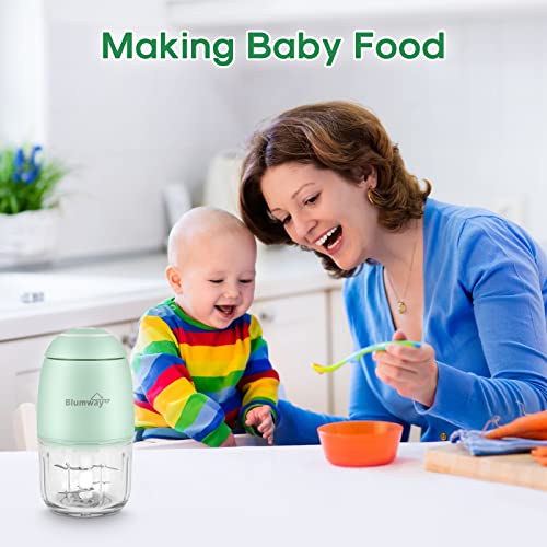 300ML Electric Mini Food Processor, 60W Cordless Food Press Garlic Chopper, Mini Blender For Garlic,Vegetable,Fruit,Onions,Chili,Meat,Salad,Baby Food, Glass Container (Green)