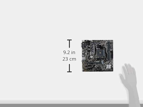 ASUS PRIME A320M-K AMD Ryzen AM4 DDR4 HDMI VGA M.2 USB 3.1 Micro-ATX Motherboard
